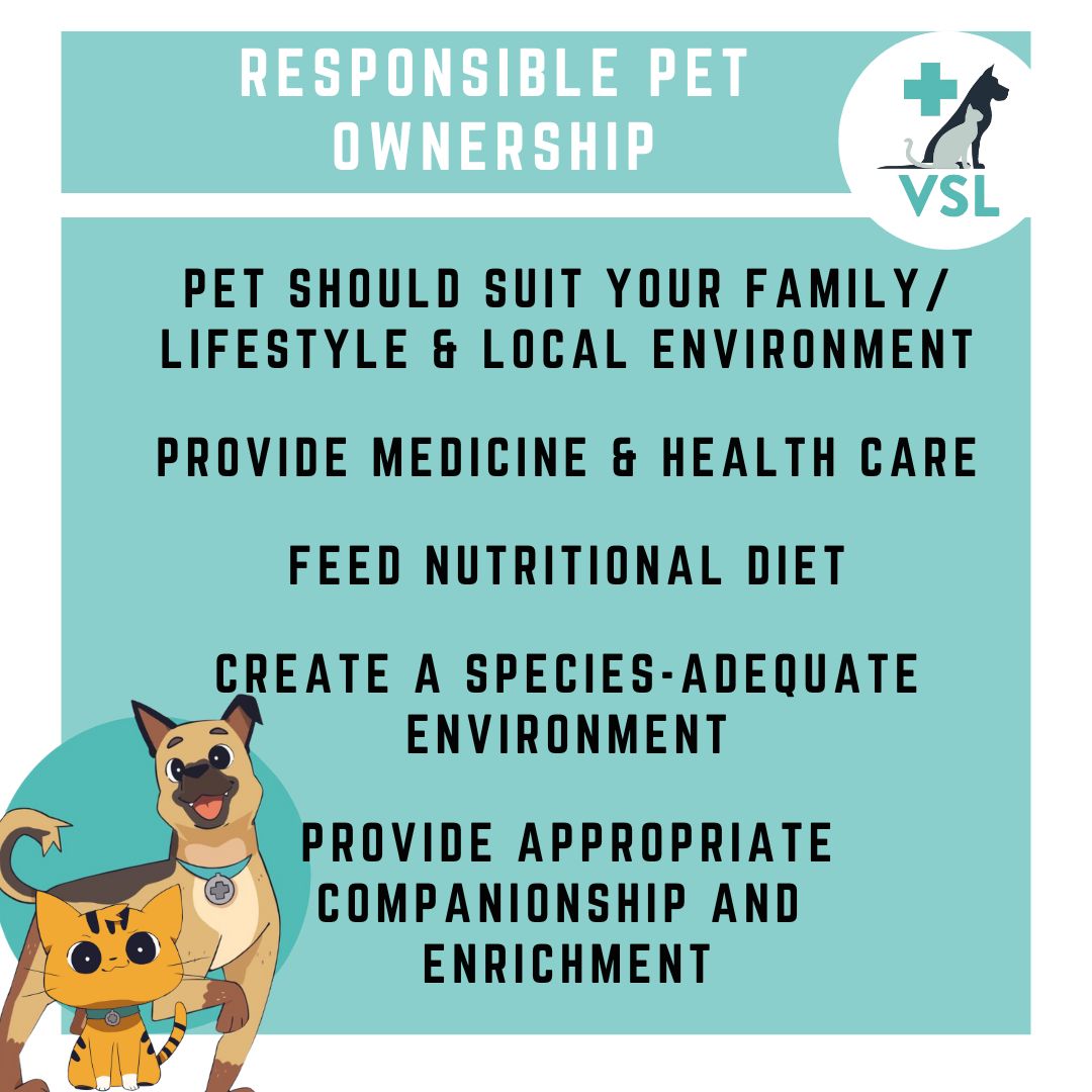 test-slider-4 - VSL Veterinary Clinic