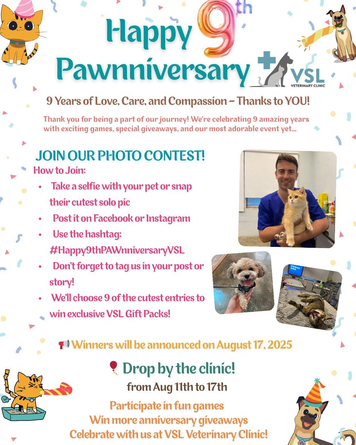 Feline Panleukopenia Virus (FPV) in Cats - VSL Veterinary Clinic
