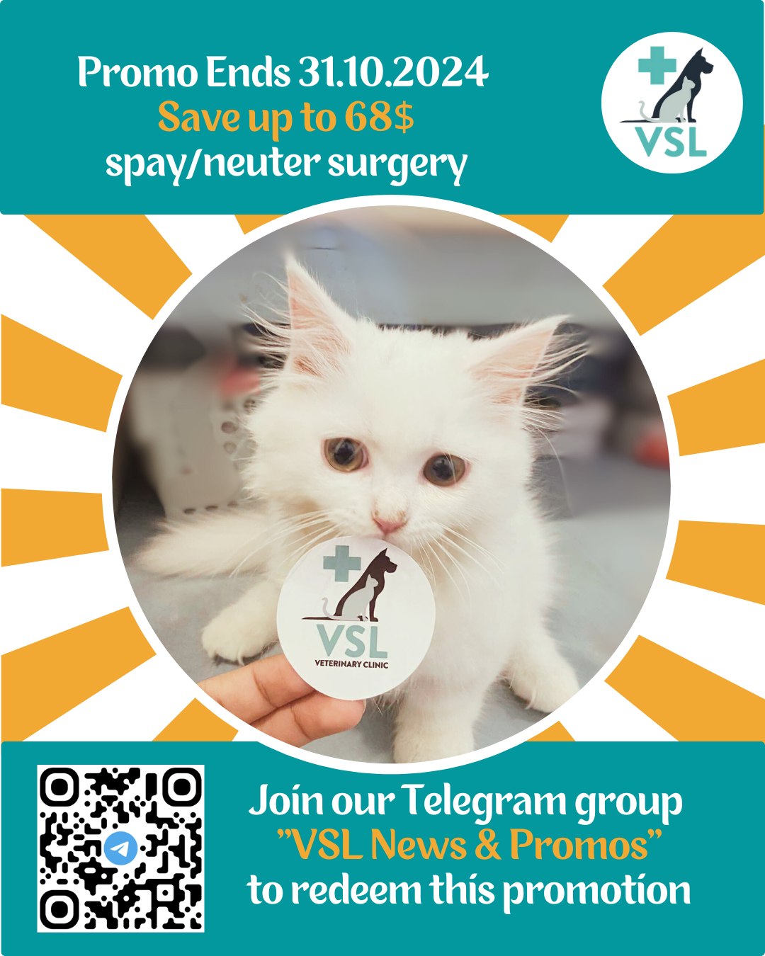 Feline Panleukopenia Virus (FPV) in Cats - VSL Veterinary Clinic