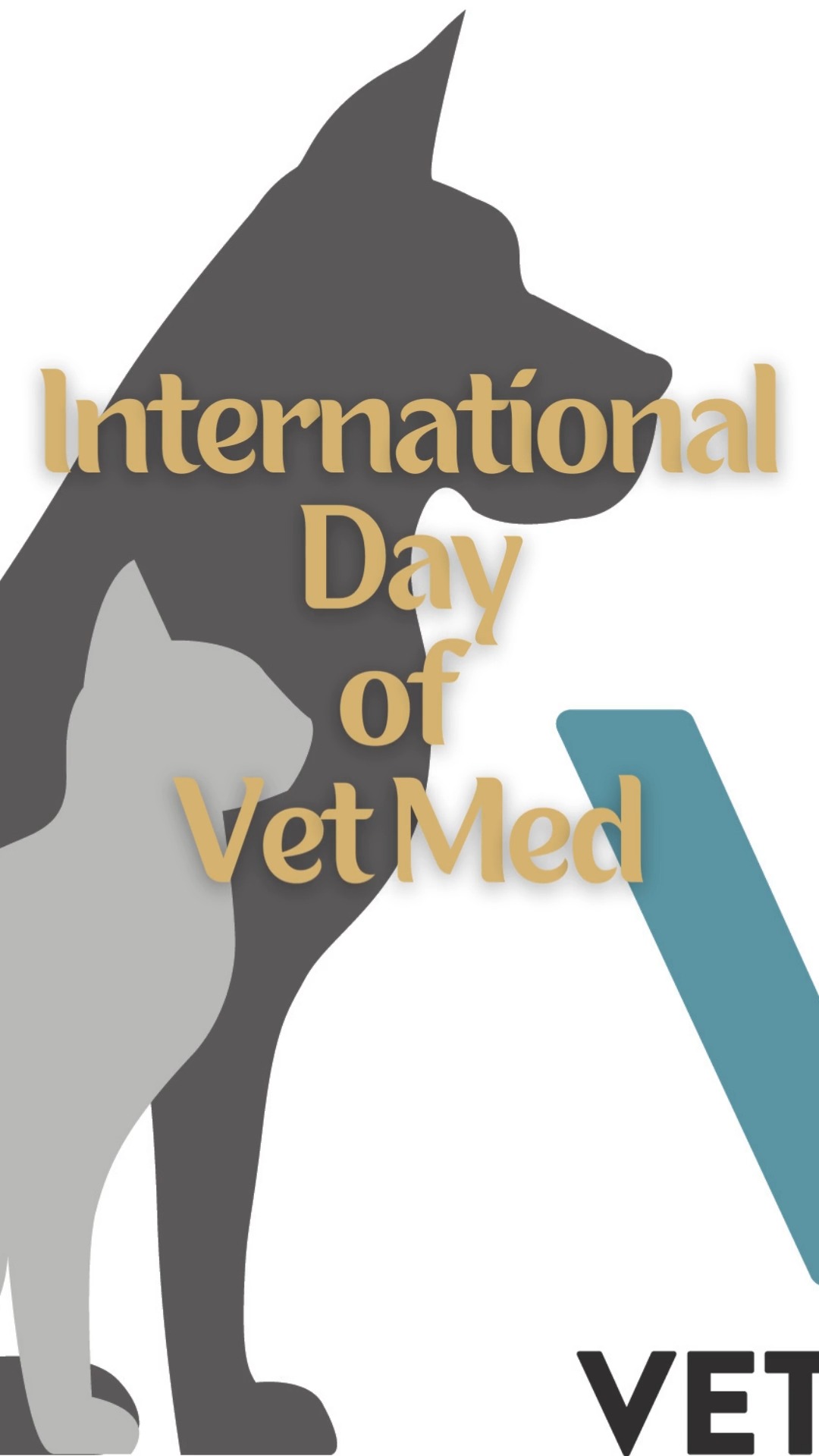 Feline Panleukopenia Virus (FPV) in Cats - VSL Veterinary Clinic