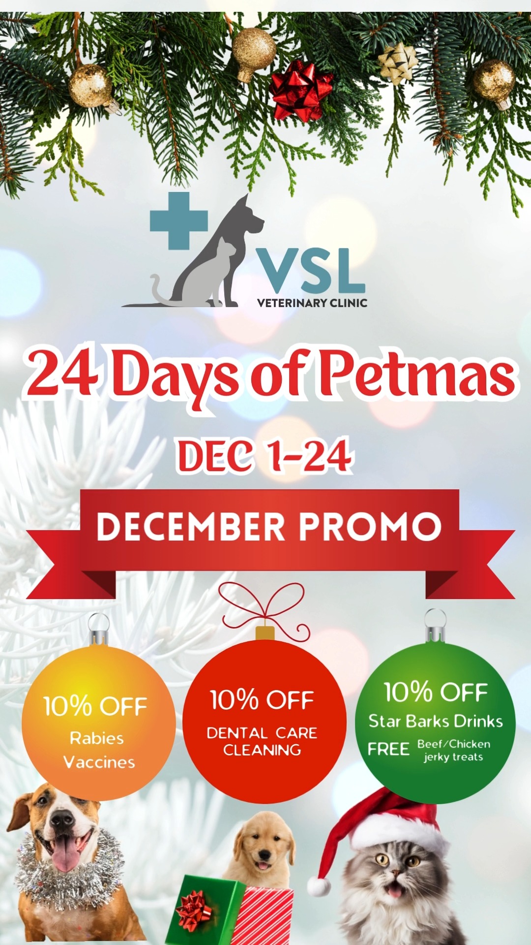 Feline Panleukopenia Virus (FPV) in Cats - VSL Veterinary Clinic