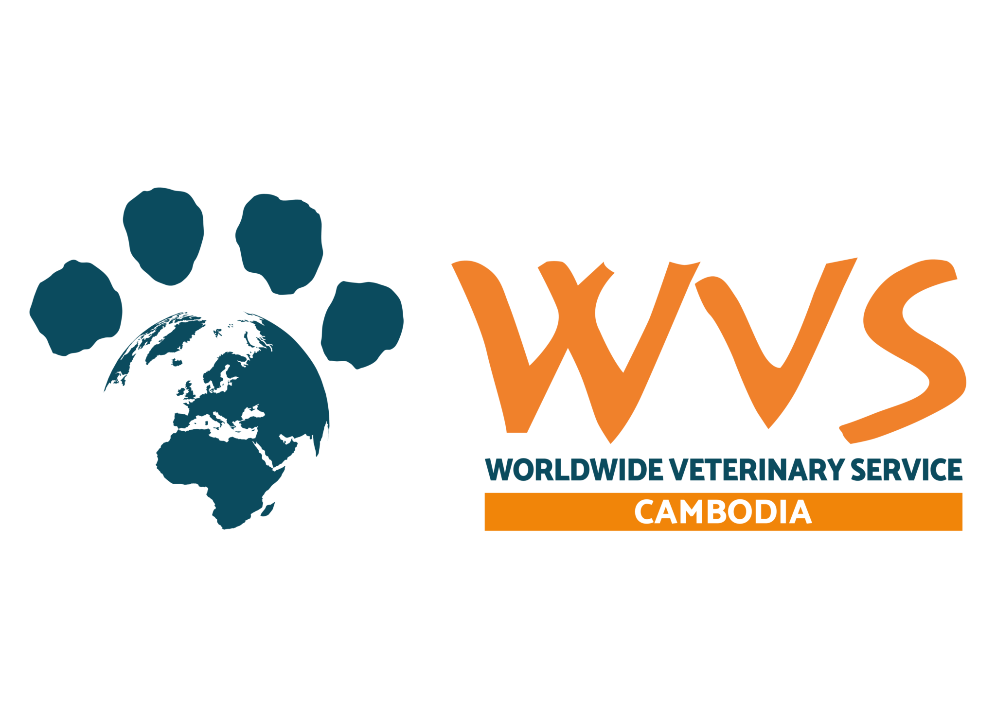 Feline Panleukopenia Virus (FPV) in Cats - VSL Veterinary Clinic